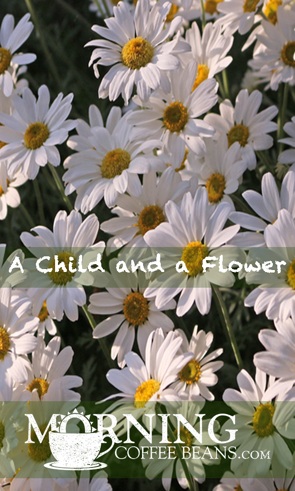 A Child and a Flower - Short Stories