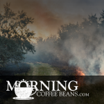 Memorial Day - Short Stories