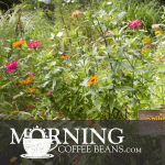 The Power of Compassion - Short Stories