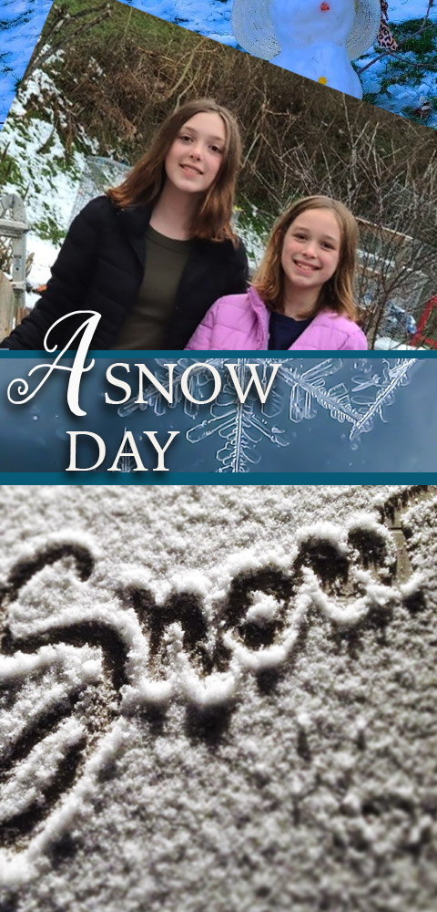 A Snow Day - Short Stories