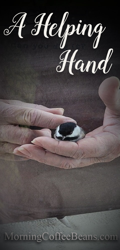 A Helping Hand - Short Stories