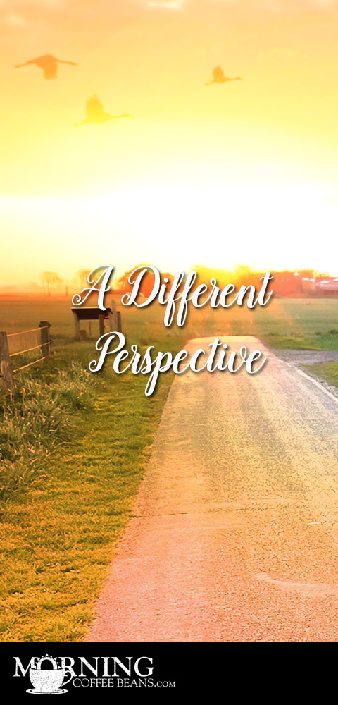A Different Perspective - Short Stories