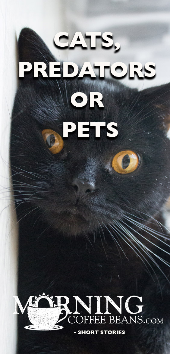 Cats, Predators or Pets - Short Stories