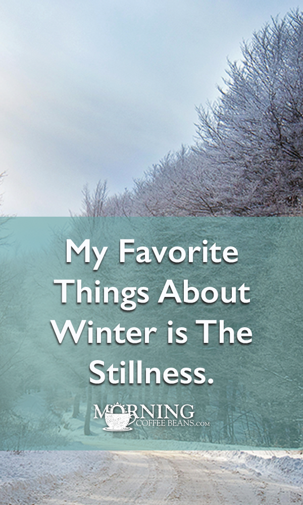 My favorite thing about winter is the stillness - Short Stories